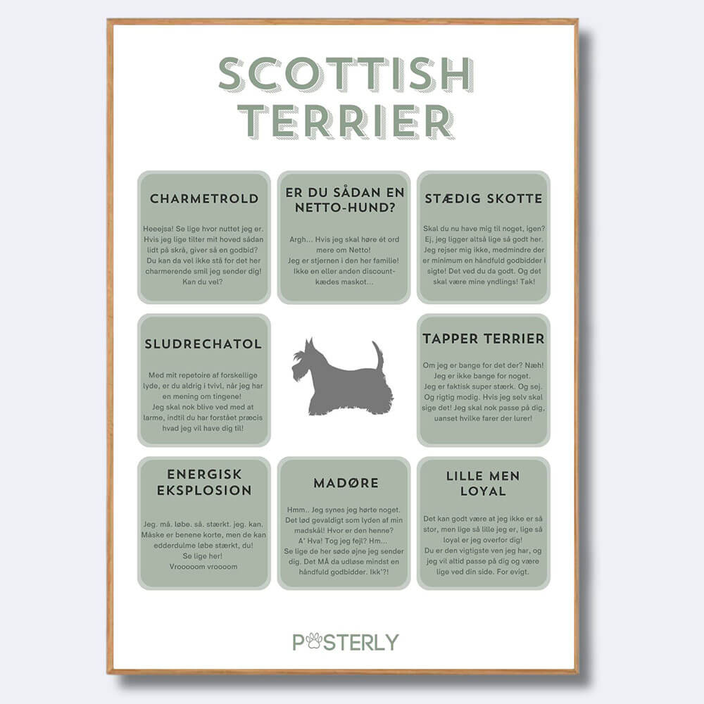 Hunde Plakat Scottish Terrier | Loppetjansen - Alt til kæledyr