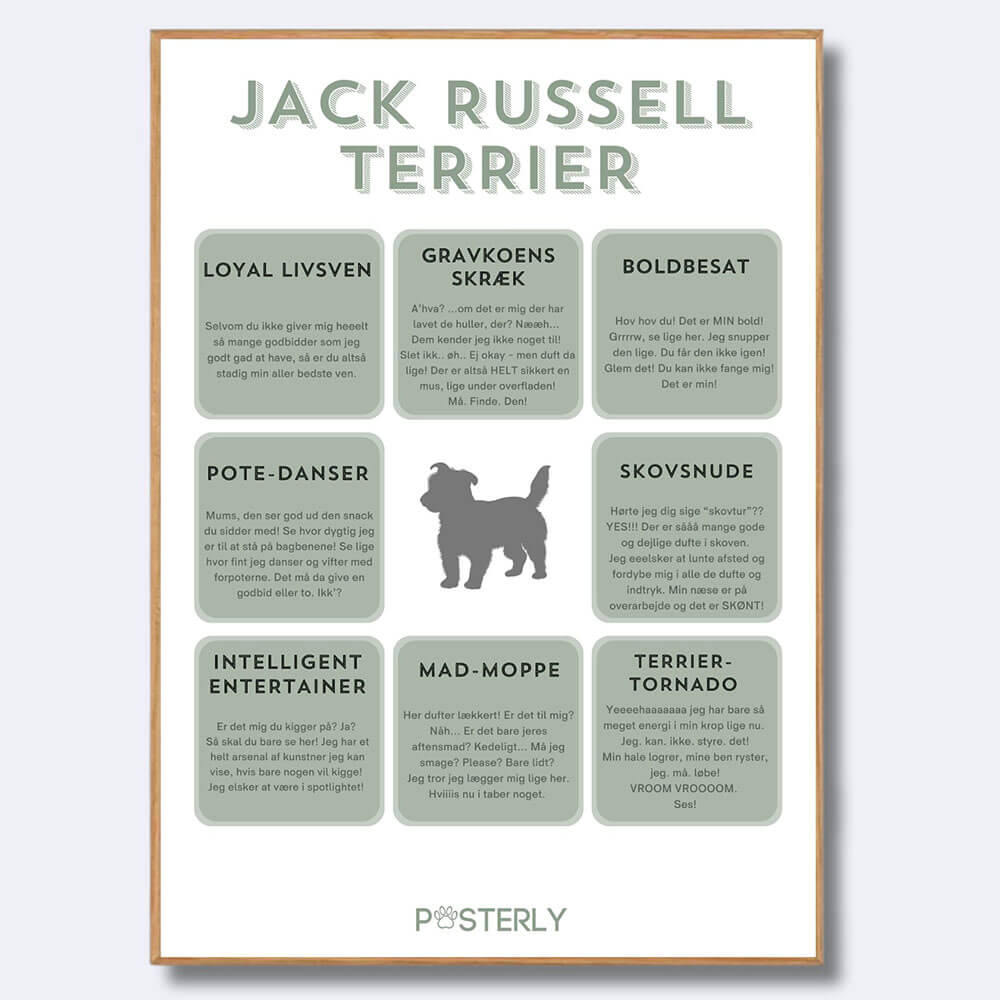 Hunde Plakat Jack Russell Terrier | Loppetjansen - Alt til kæledyr